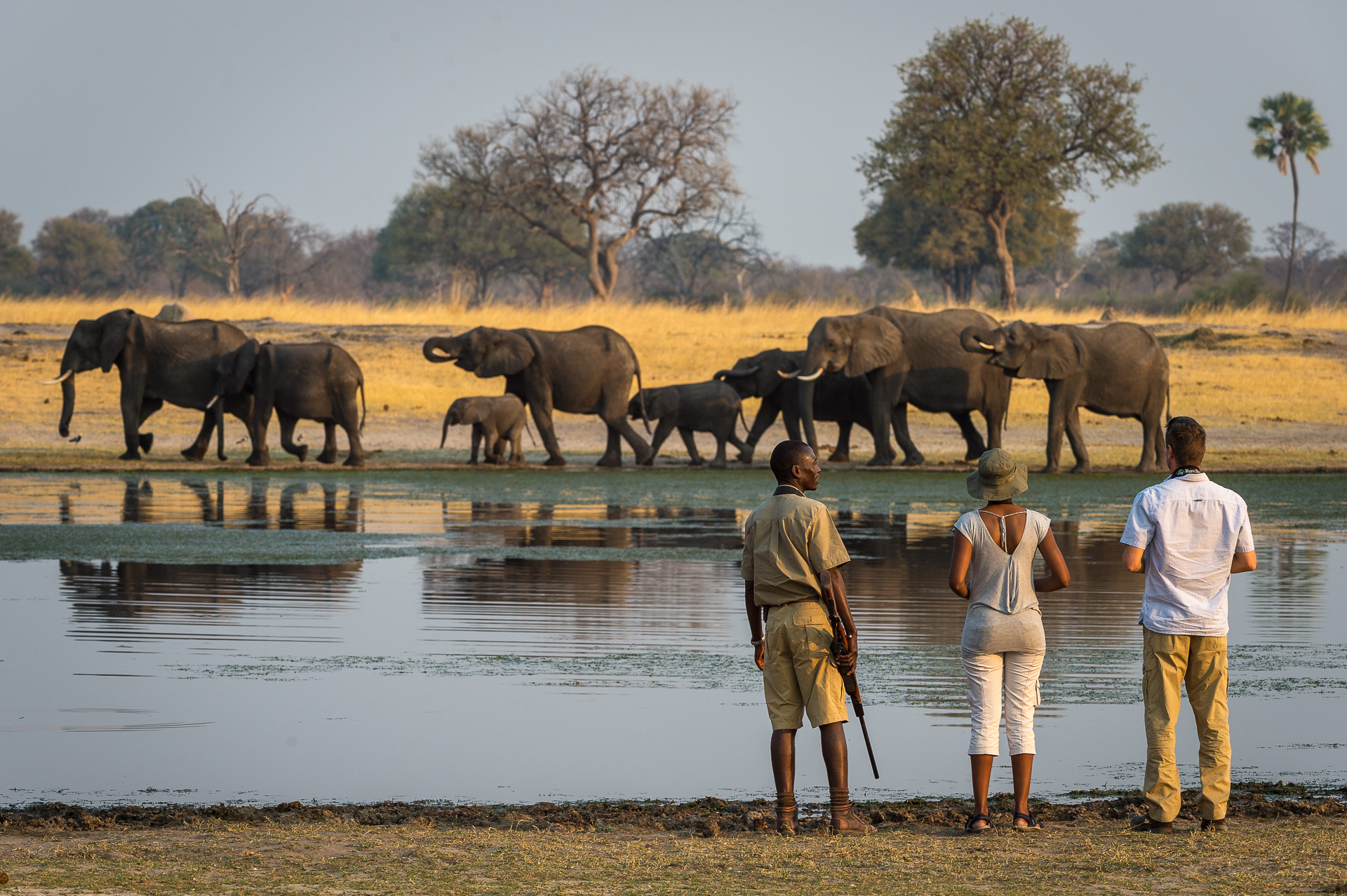 Peter Gava: Legendary Guide from Zimbabwe | Wilderness