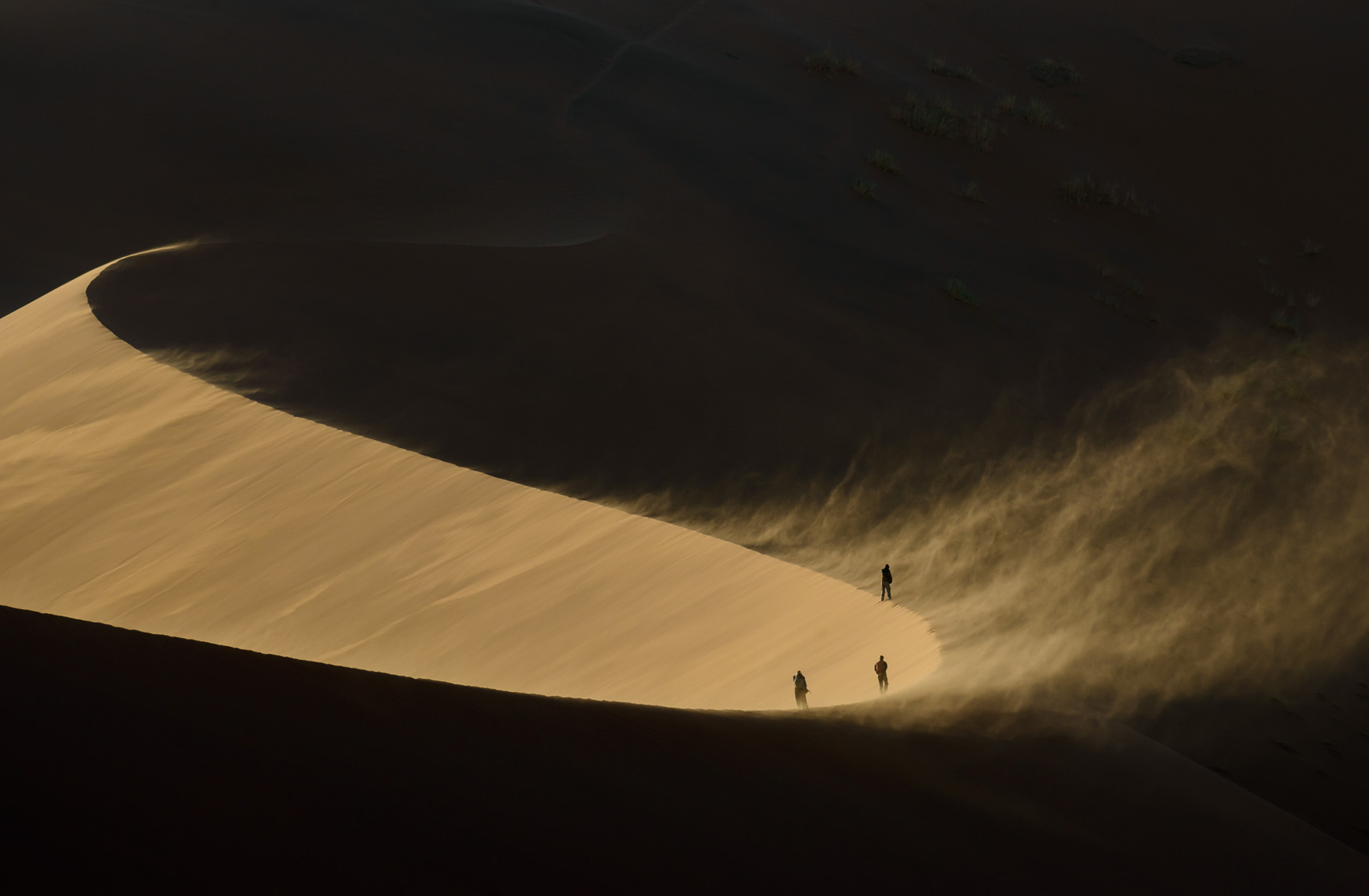 How to Win Wildlife Photo Contest | Wilderness