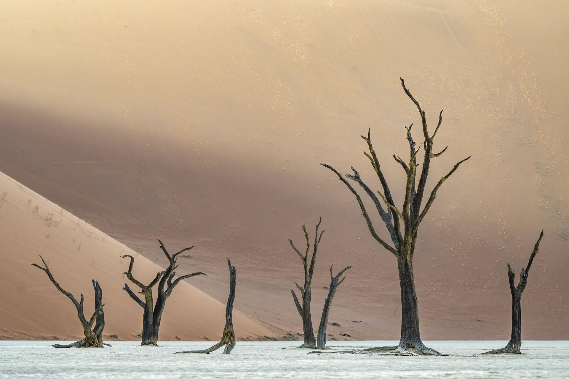 Nine amazing days in Wilderness Namibia