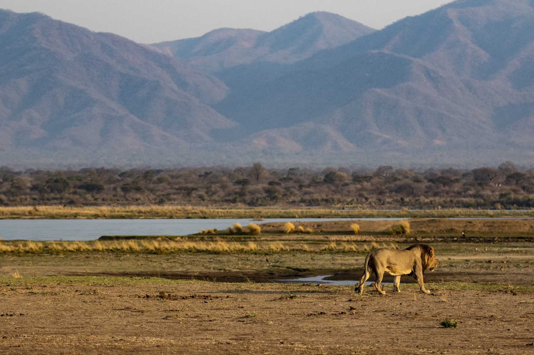 Nature Poetry: Reconnecting to Our Africa | Wilderness