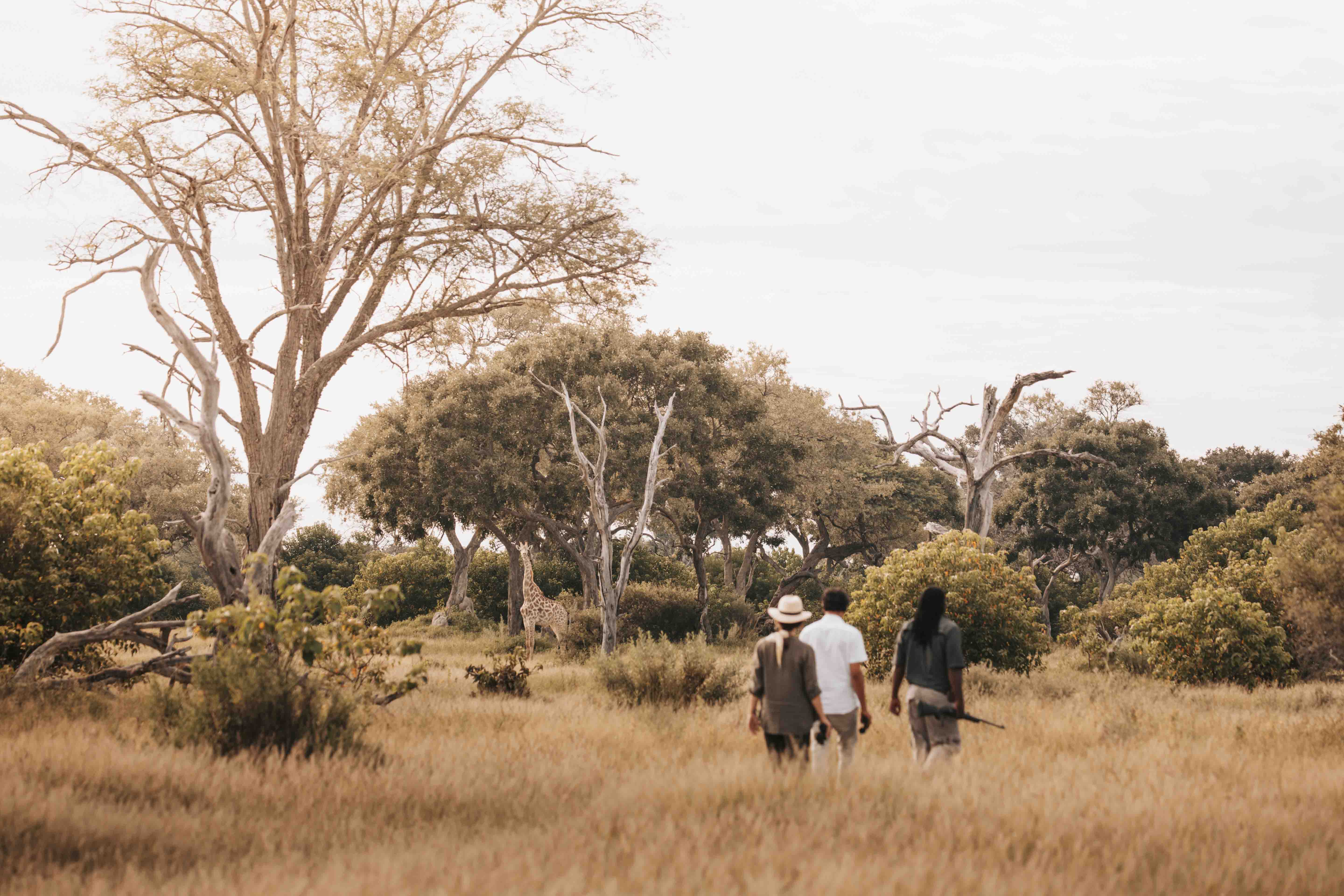 Guided Walking Safaris | Nature Hikes | Wilderness