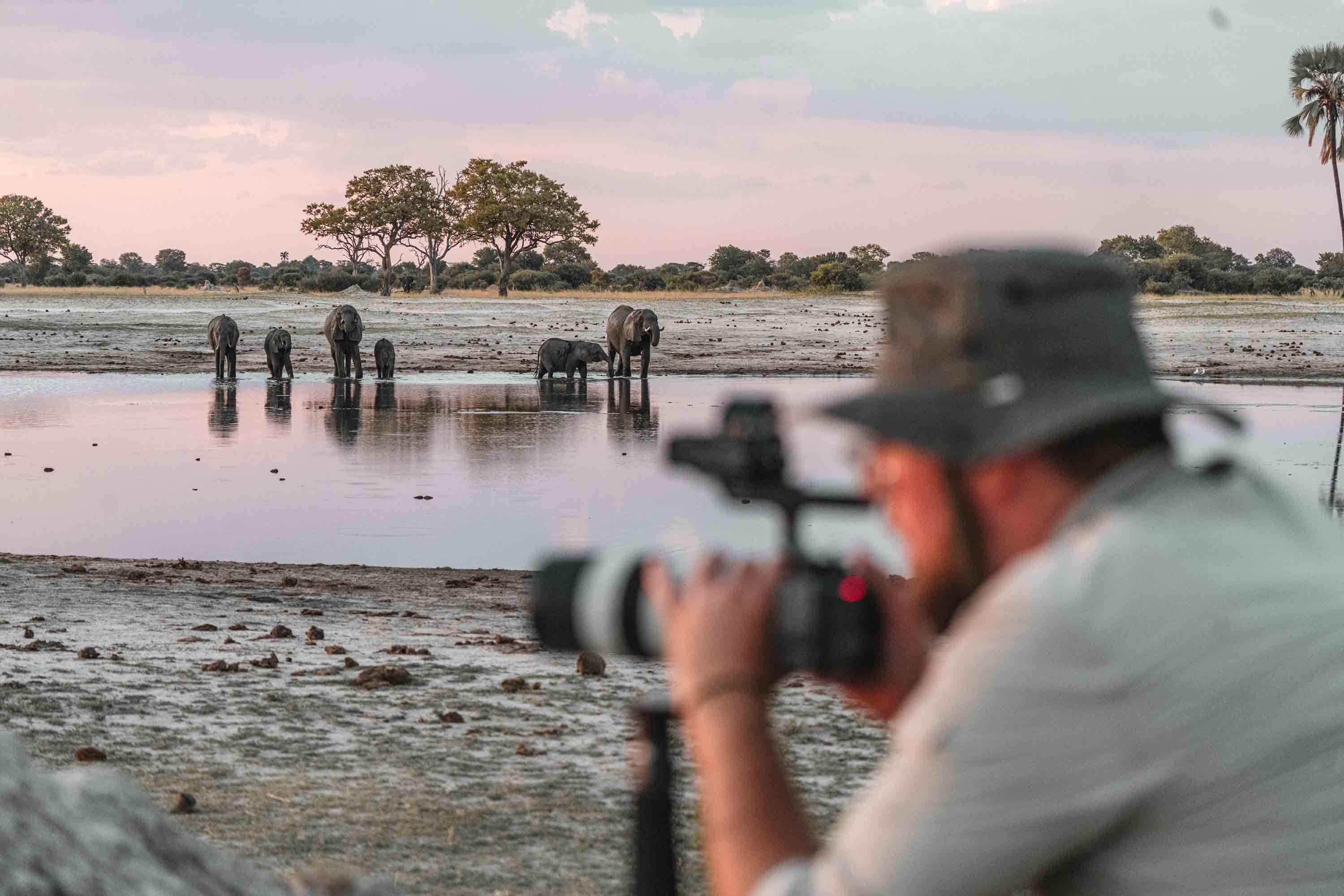 Safari Photography Guide | Equipment and Tips | Wilderness
