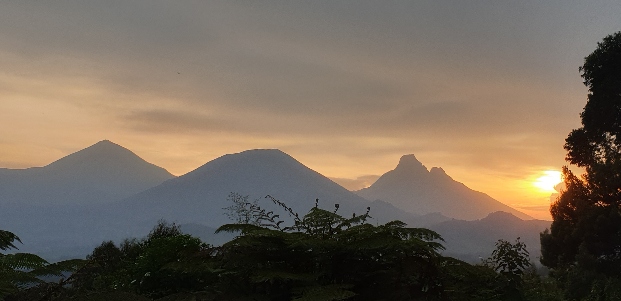 Wilderness Sabyinyo Highlights November 2022