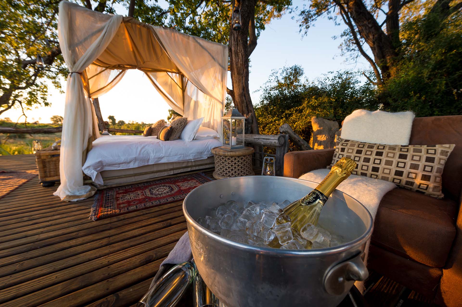 The Wilderness star bed experience