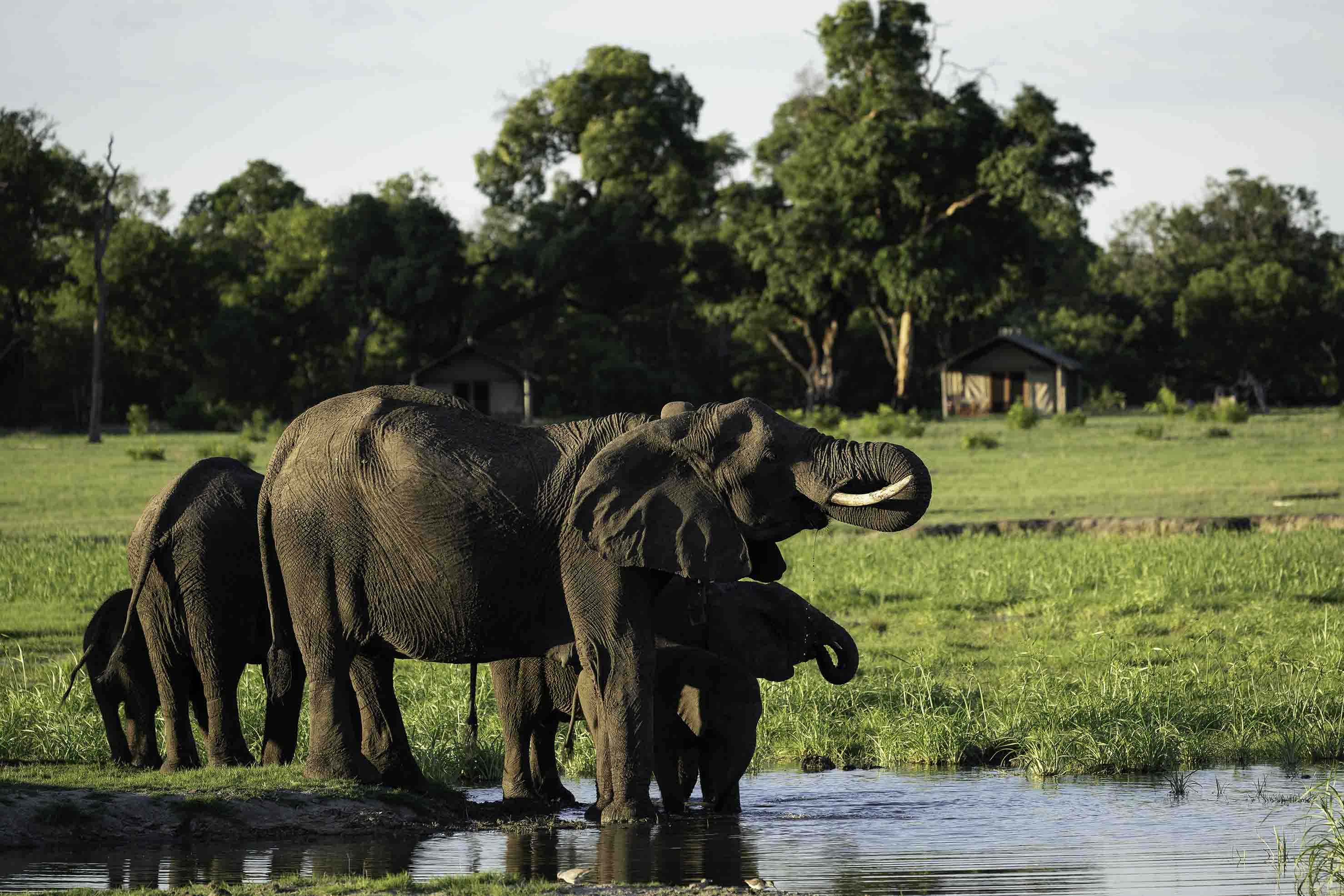 Summer in Zimbabwe | Romantic Getaway Itinerary | Wilderness