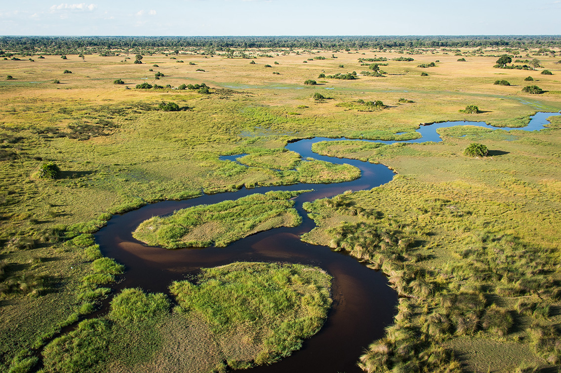 Mombo The Next Chapter | The Place of Plenty | Wilderness