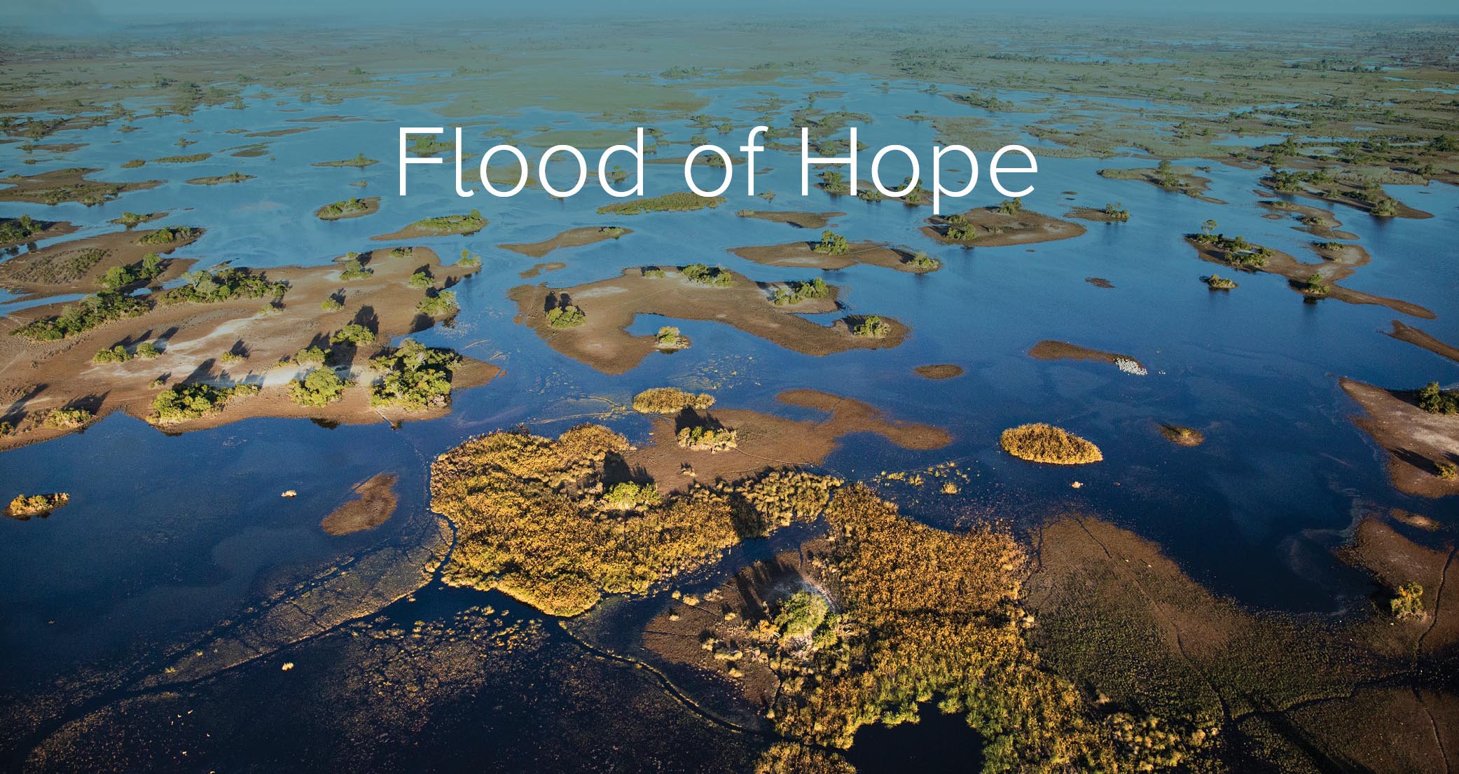 Flood Season & Hope Return in Okavango Delta | Wilderness