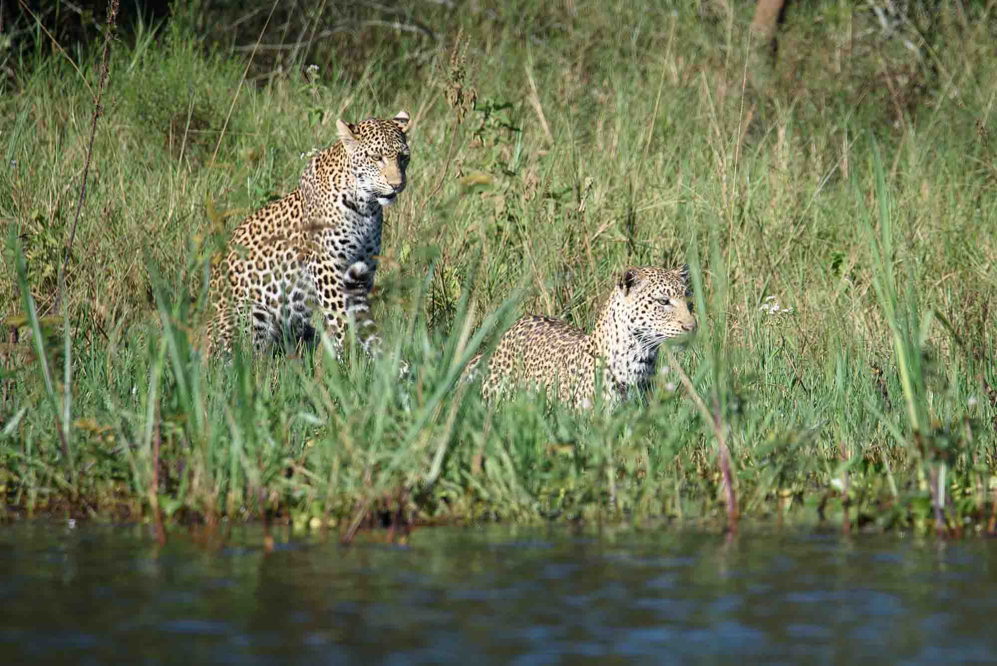 Wilderness Magashi News – April 2024