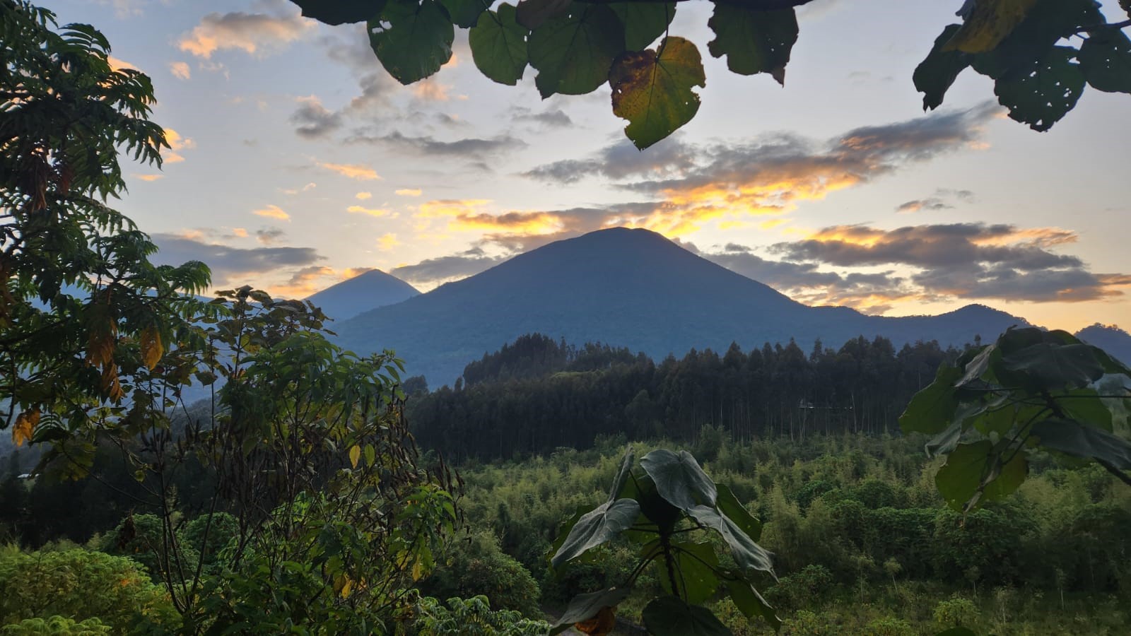 Wilderness Bisate News – January 2023