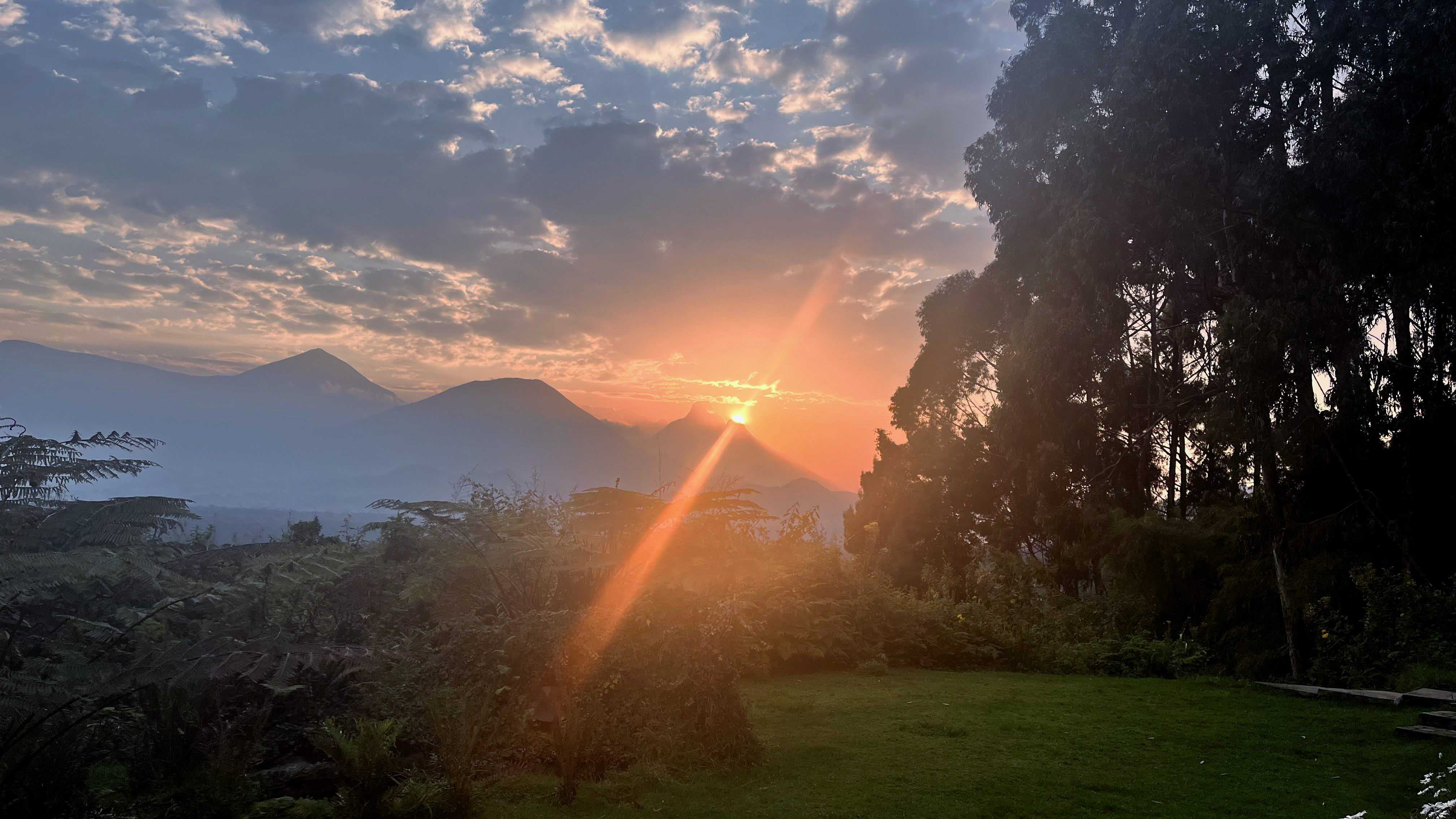 Wilderness Sabyinyo News – January 2023