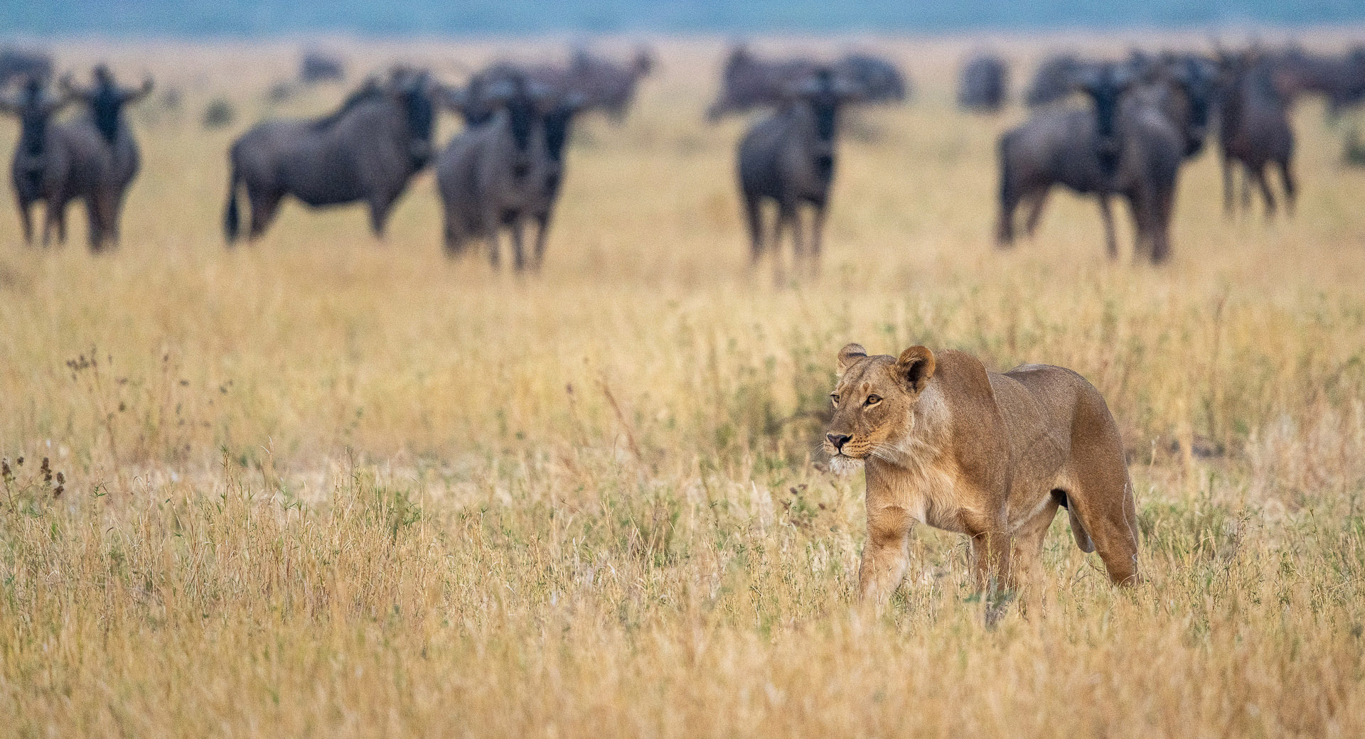 Mokete Camp, Botswana | Wilderness