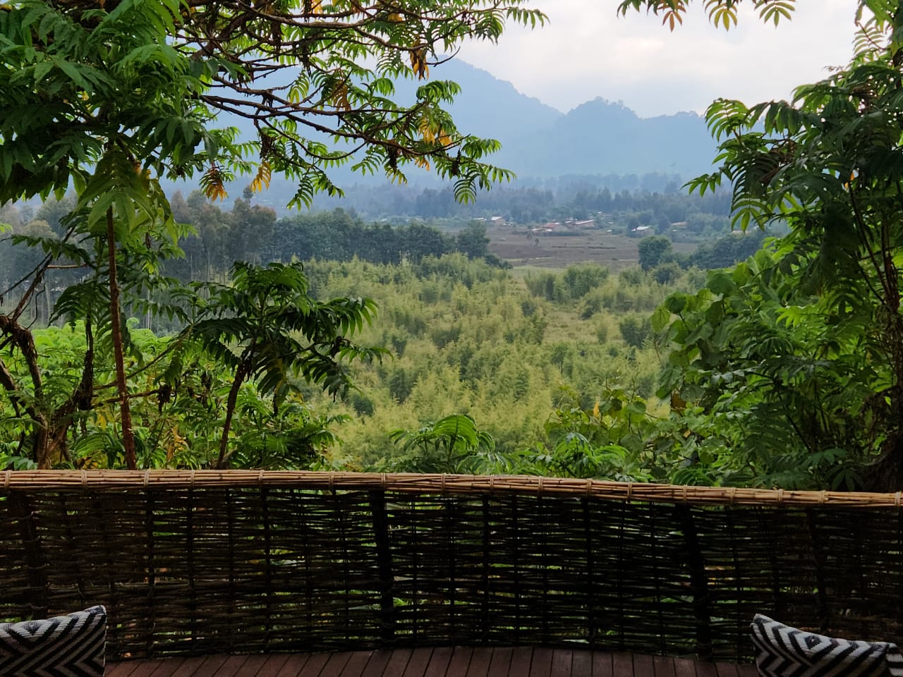 Wilderness Bisate June Highlights