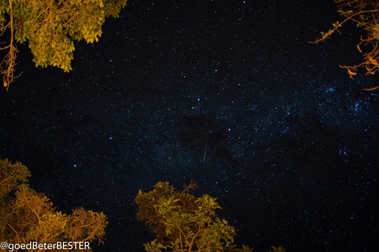 Stargazing Experience at Ruckomechi Camp | Wilderness