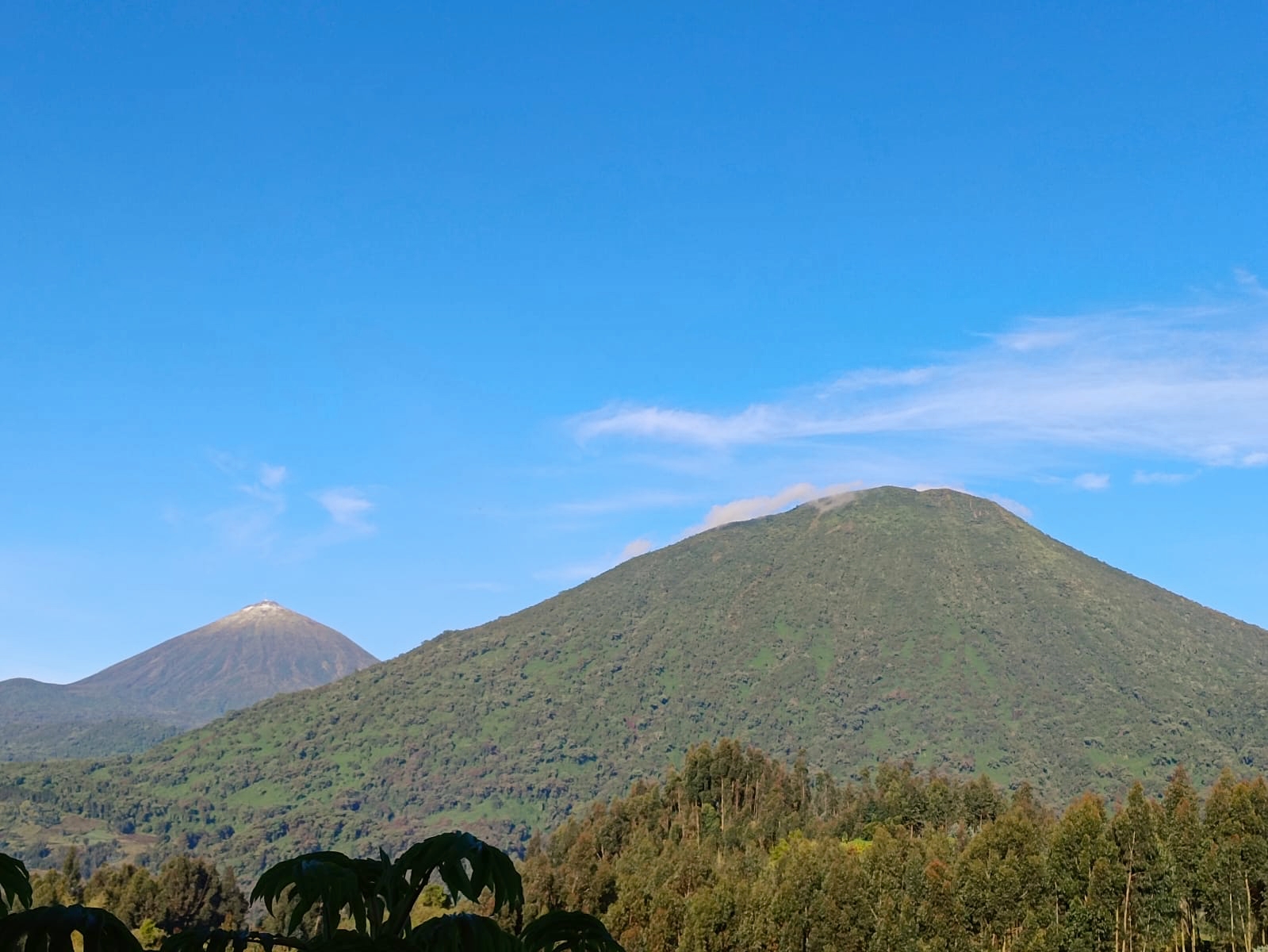 Wilderness Bisate Newsletter April 2023 | Wilderness Rwanda