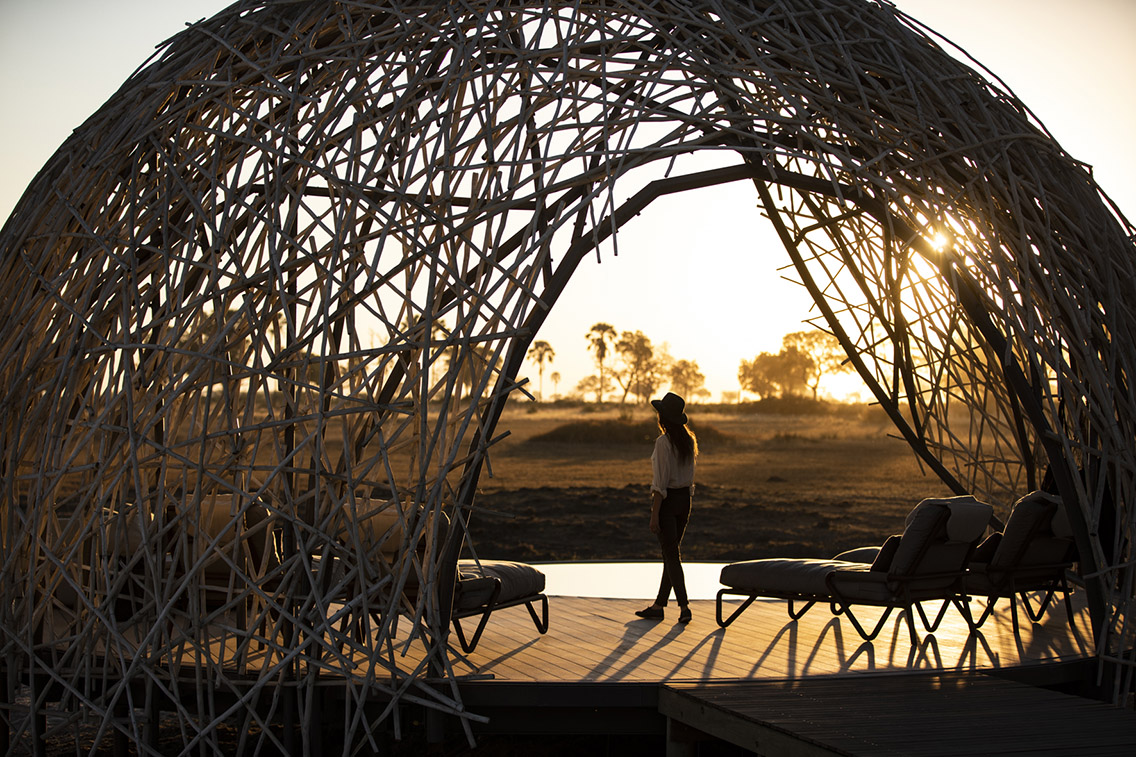 A safari for the senses through immersive architecture