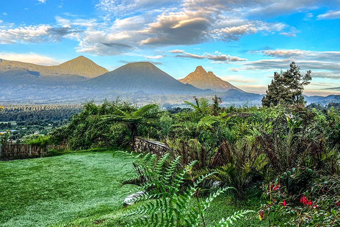 Wilderness Sabyinyo Newsletter – May 2024