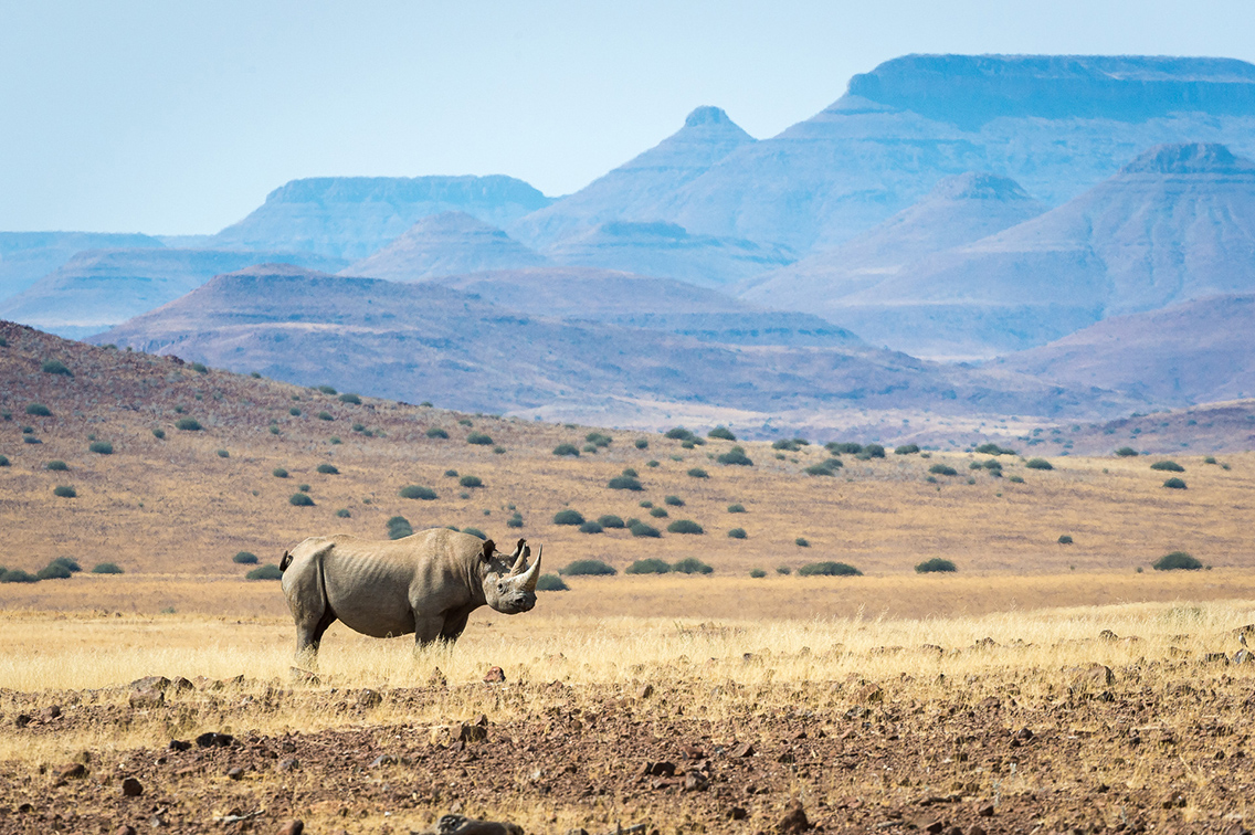 Damaraland | Namibia Safari | Wilderness