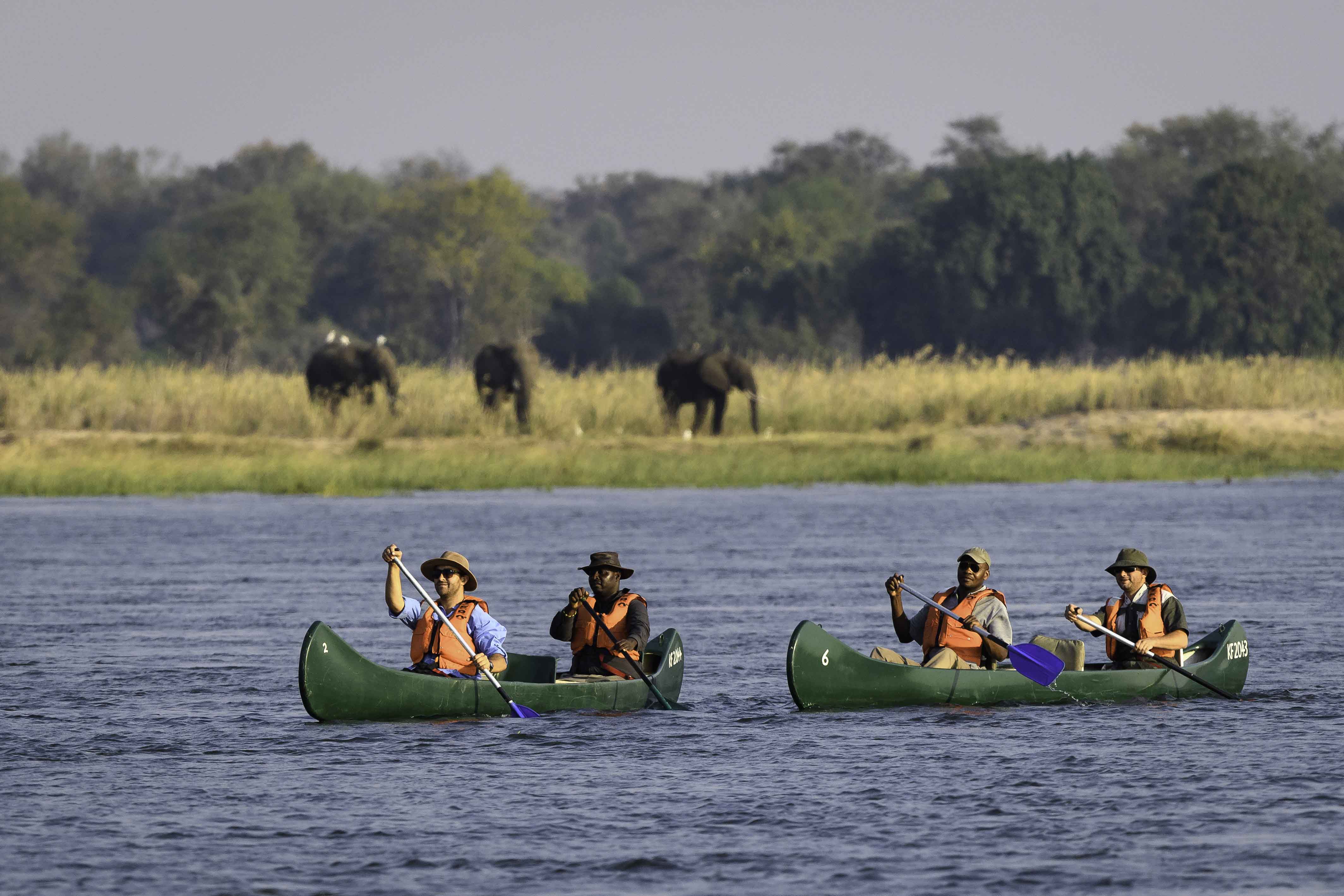 Canoe Safari Adventure | Canoeing Experiences | Wilderness