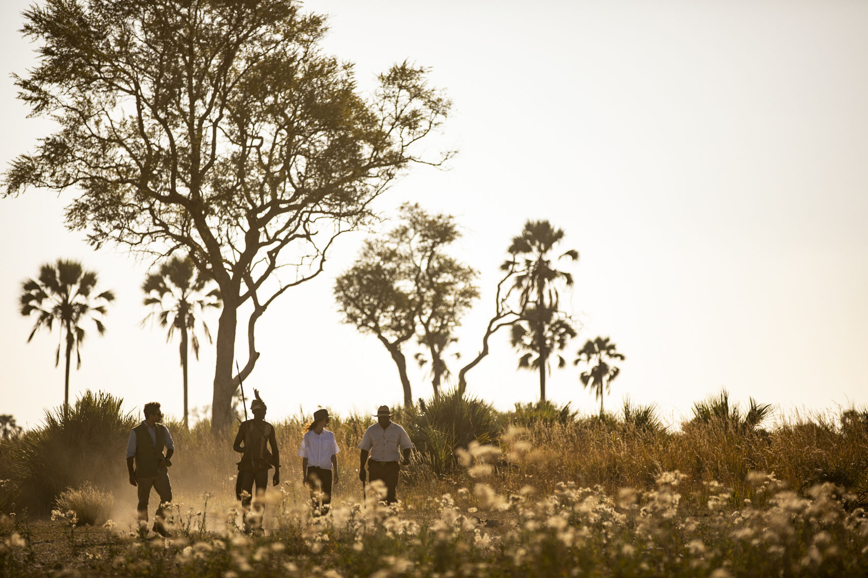 All you need to know | walking safari | Wilderness
