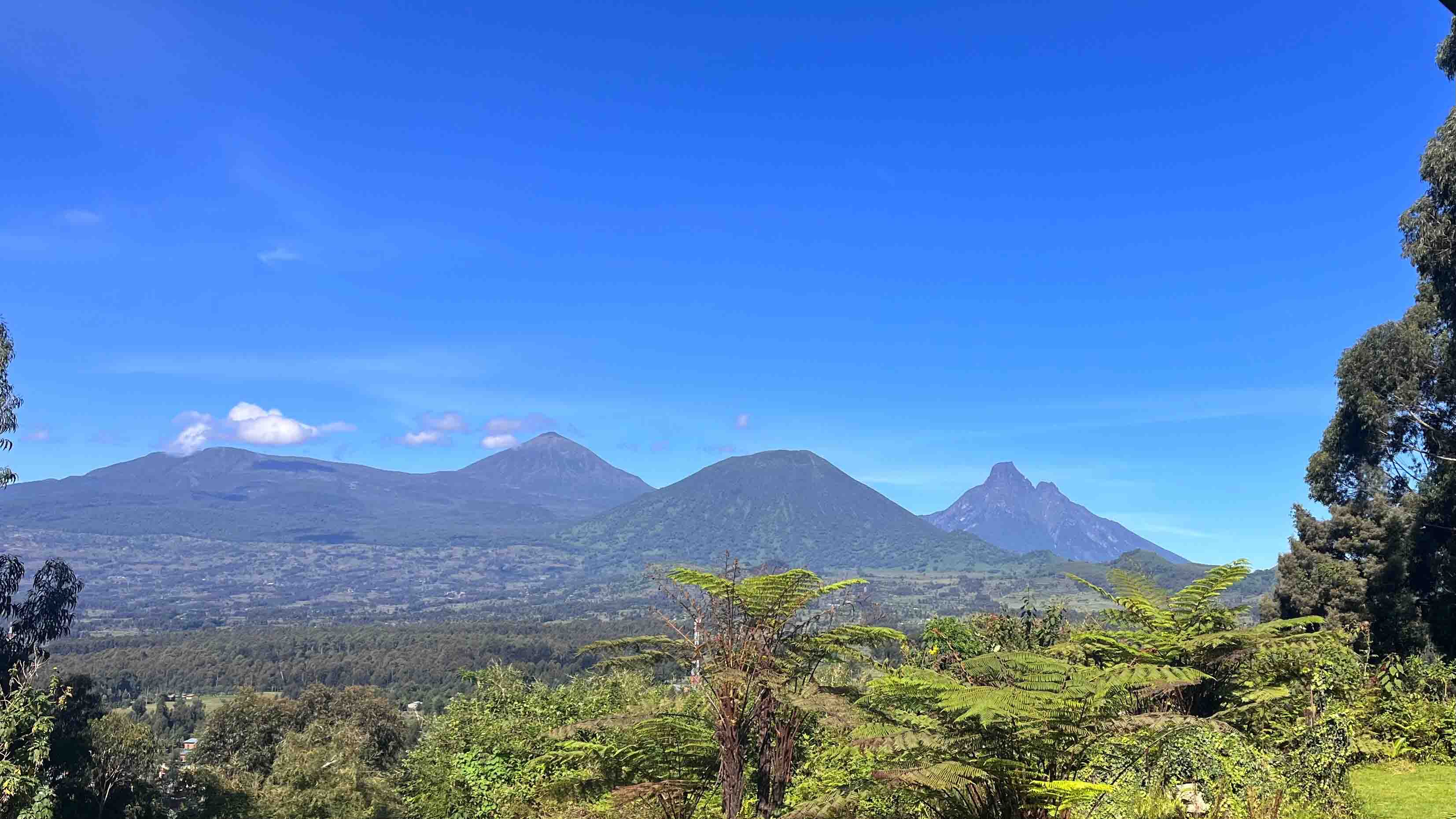 Wilderness Sabyinyo Camp News | Wilderness