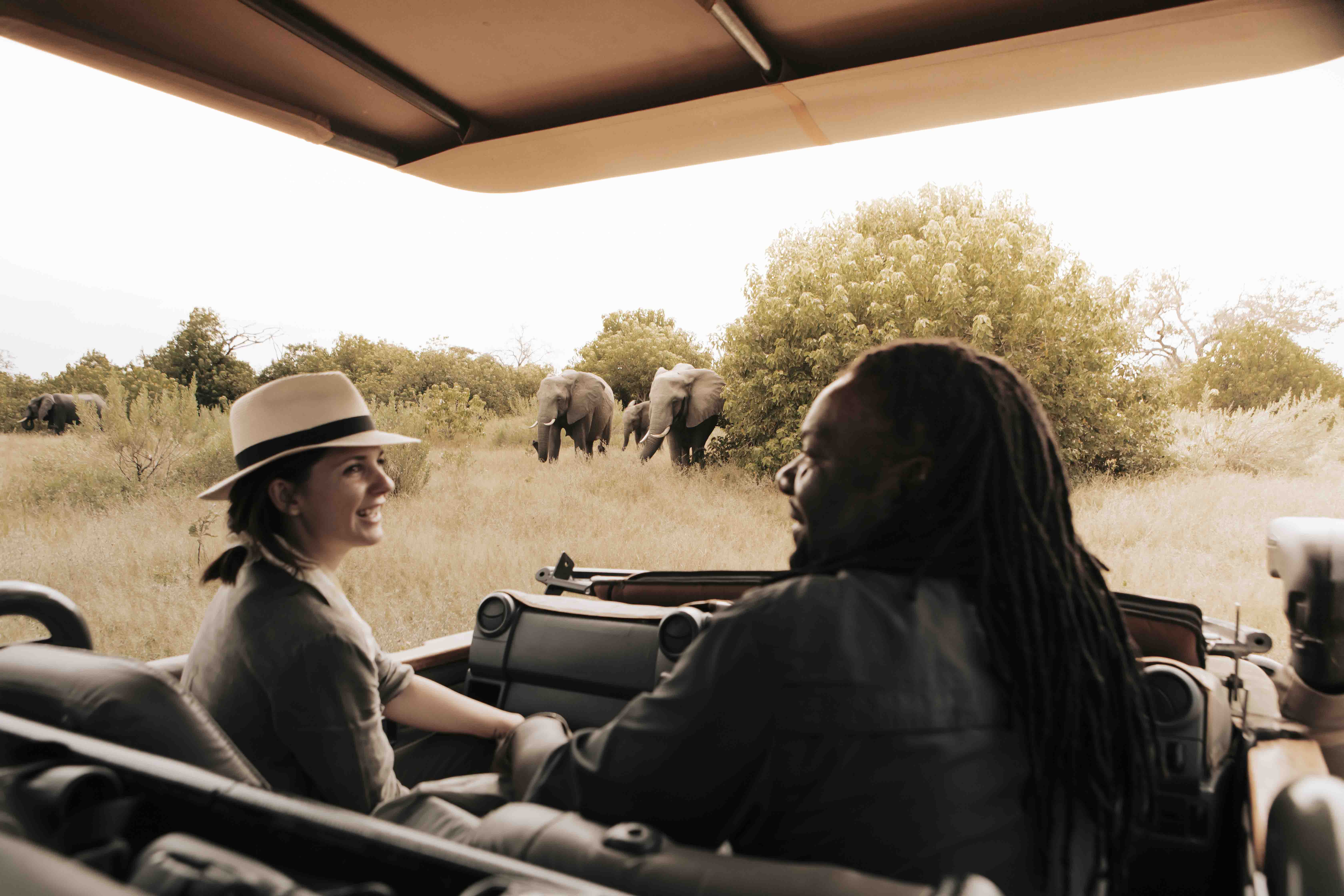 Wilderness game drive | African excursions | Wilderness